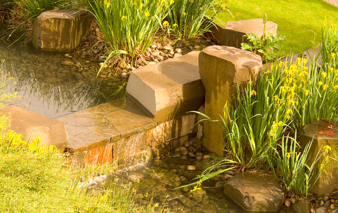 Rain Garden at the Oregon Convention Center | The Landscape Architect’s ...